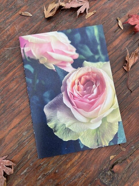 Pink Rose Card - Nettles & Roses Permaculture